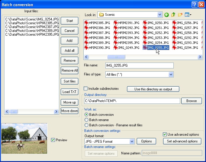 Batch Size/Image Conversion (IrfanView) Batch Size/Image Conversion (IrfanView)
